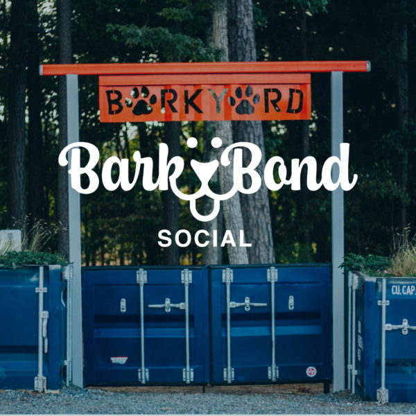 Calendar | Boxyard RTP