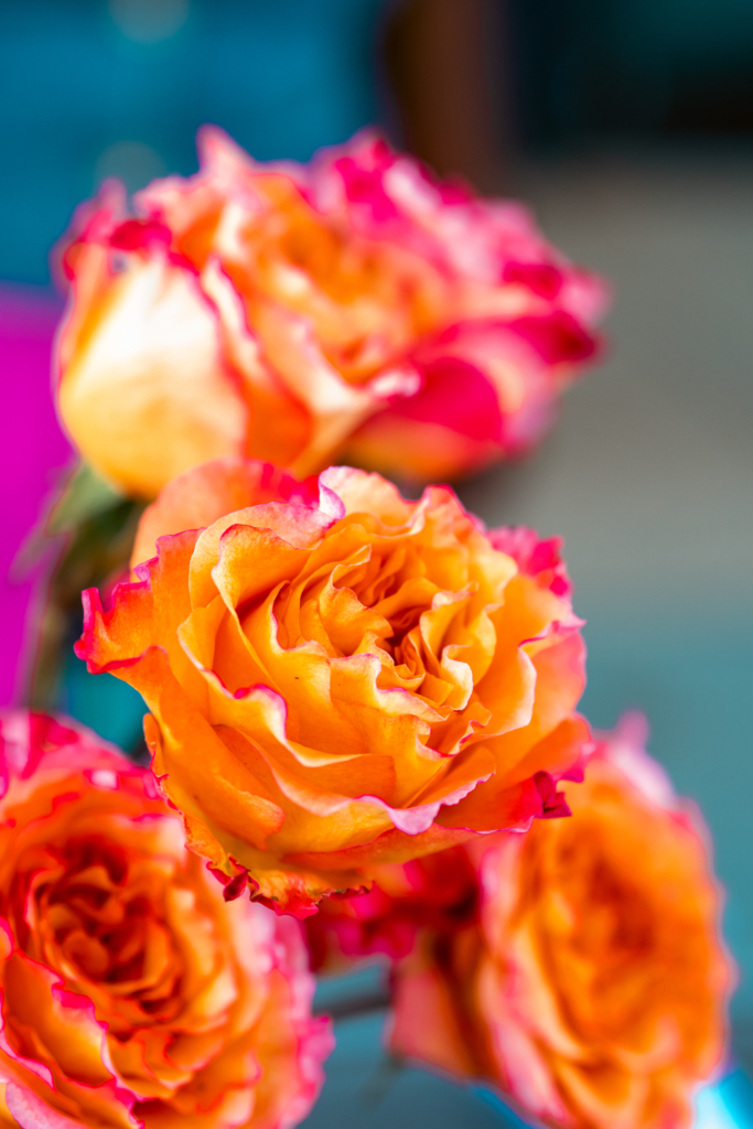 Vendors | Boxyard RTP